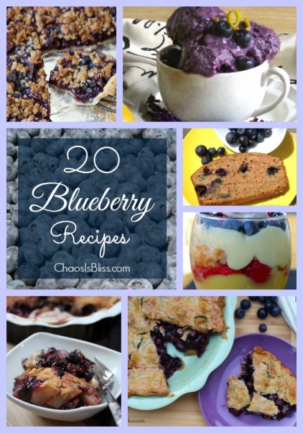 20 Blueberry Recipes | What to Do with Fresh Blueberries