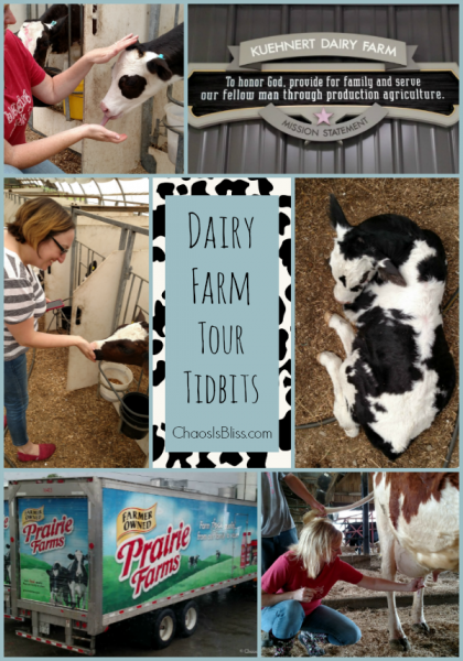 Dairy Farm Tour Tidbits | Where Milk Comes From